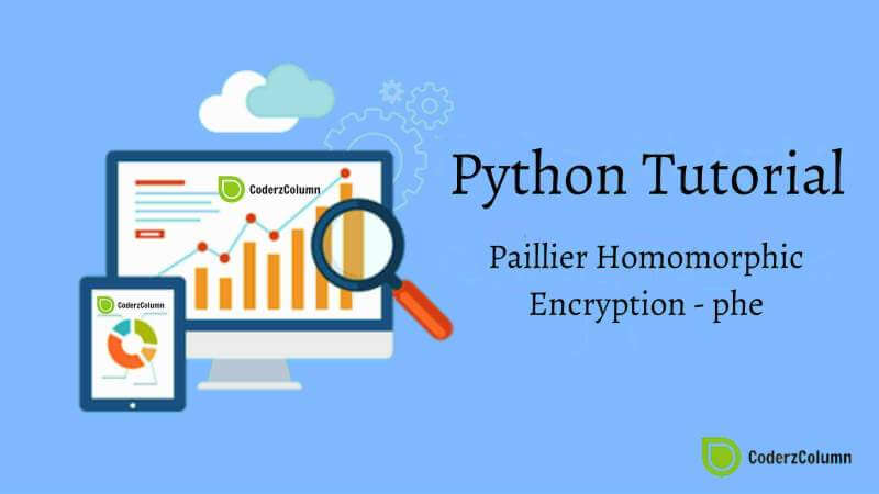 Paillier Homomorphic Encryption - phe